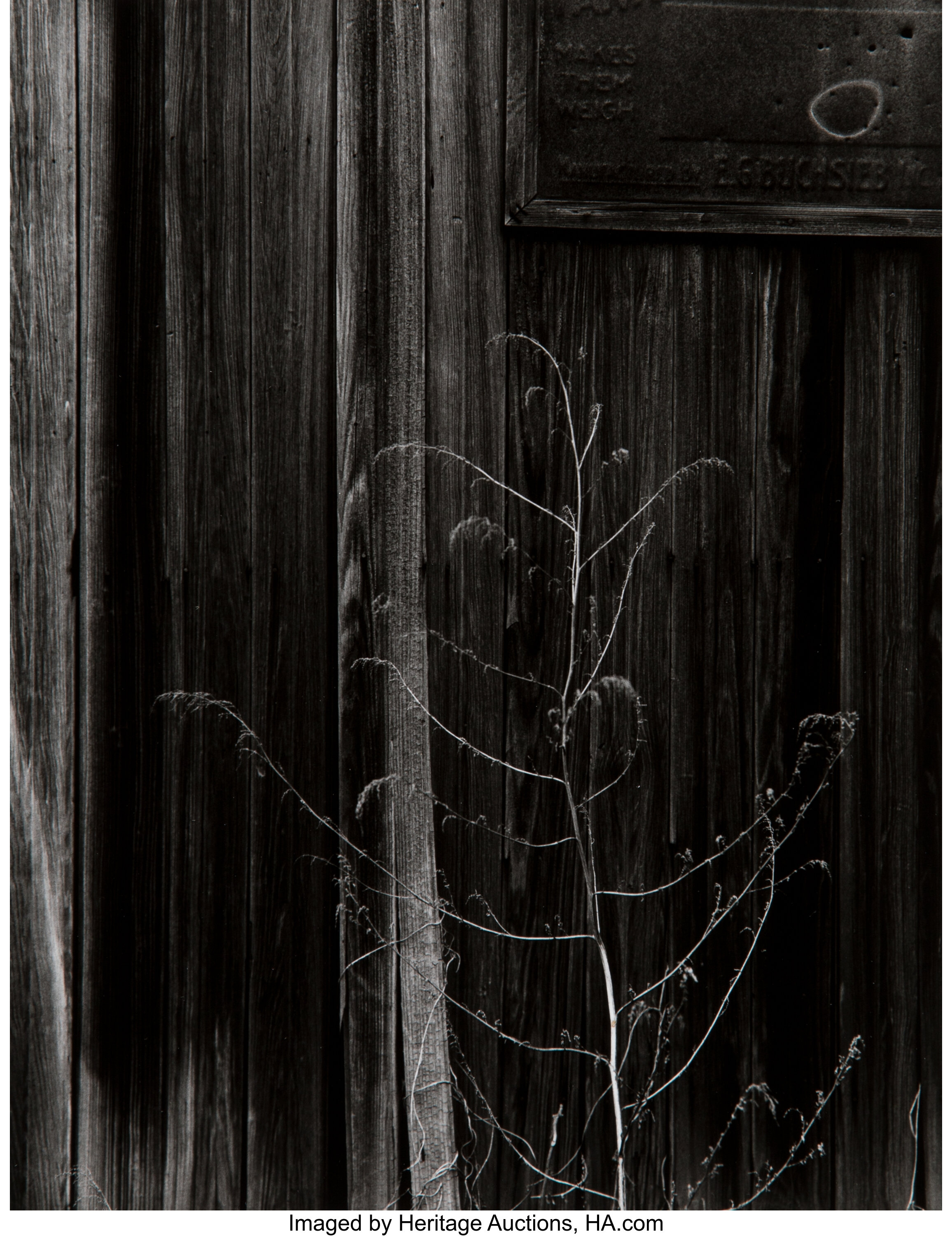 Joseph Carruthers Photography for Sale | Value Guide | Heritage Auctions