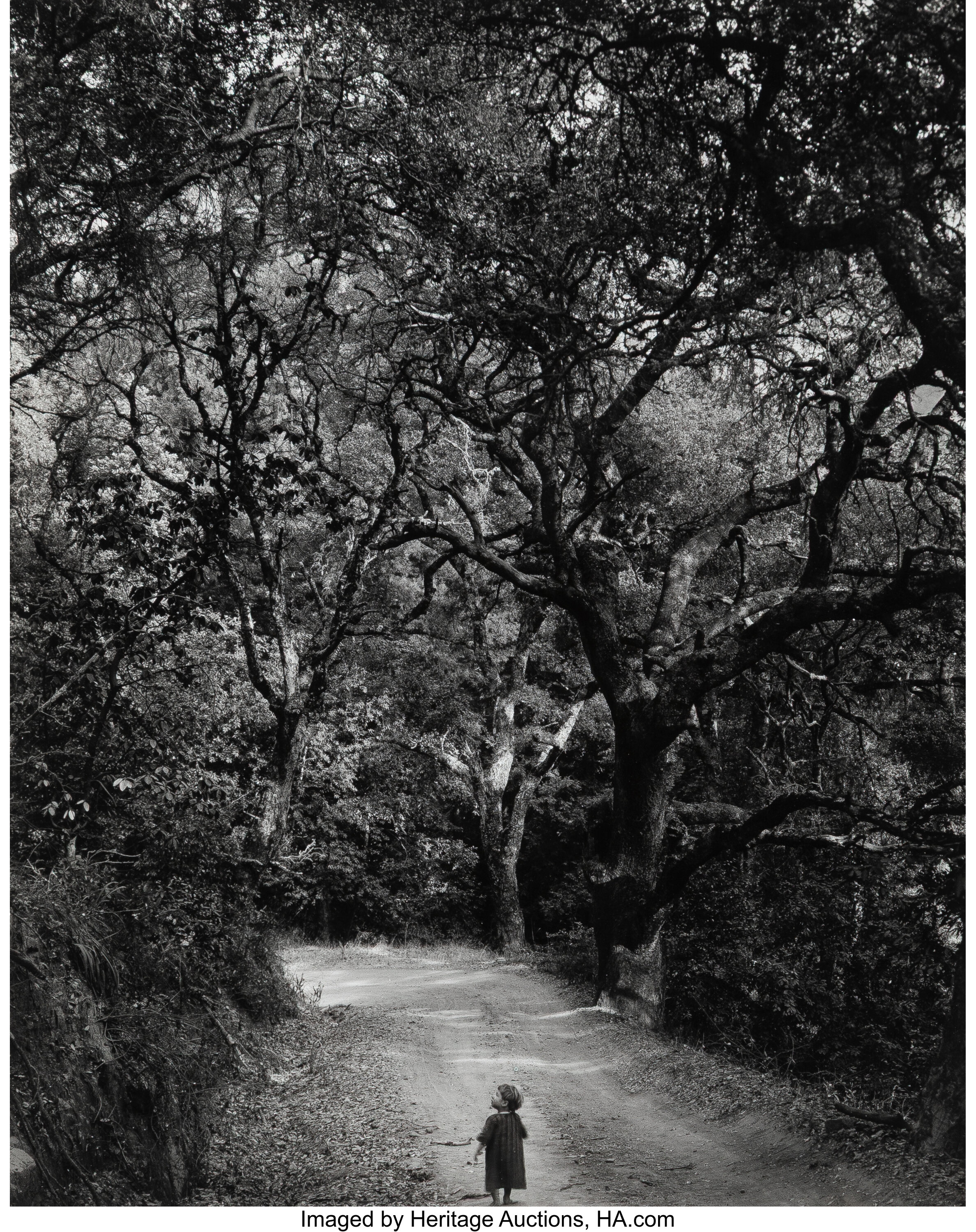 Wynn Bullock (American, 1902-1975). Child on a Forest Road, 1958. | Lot ...