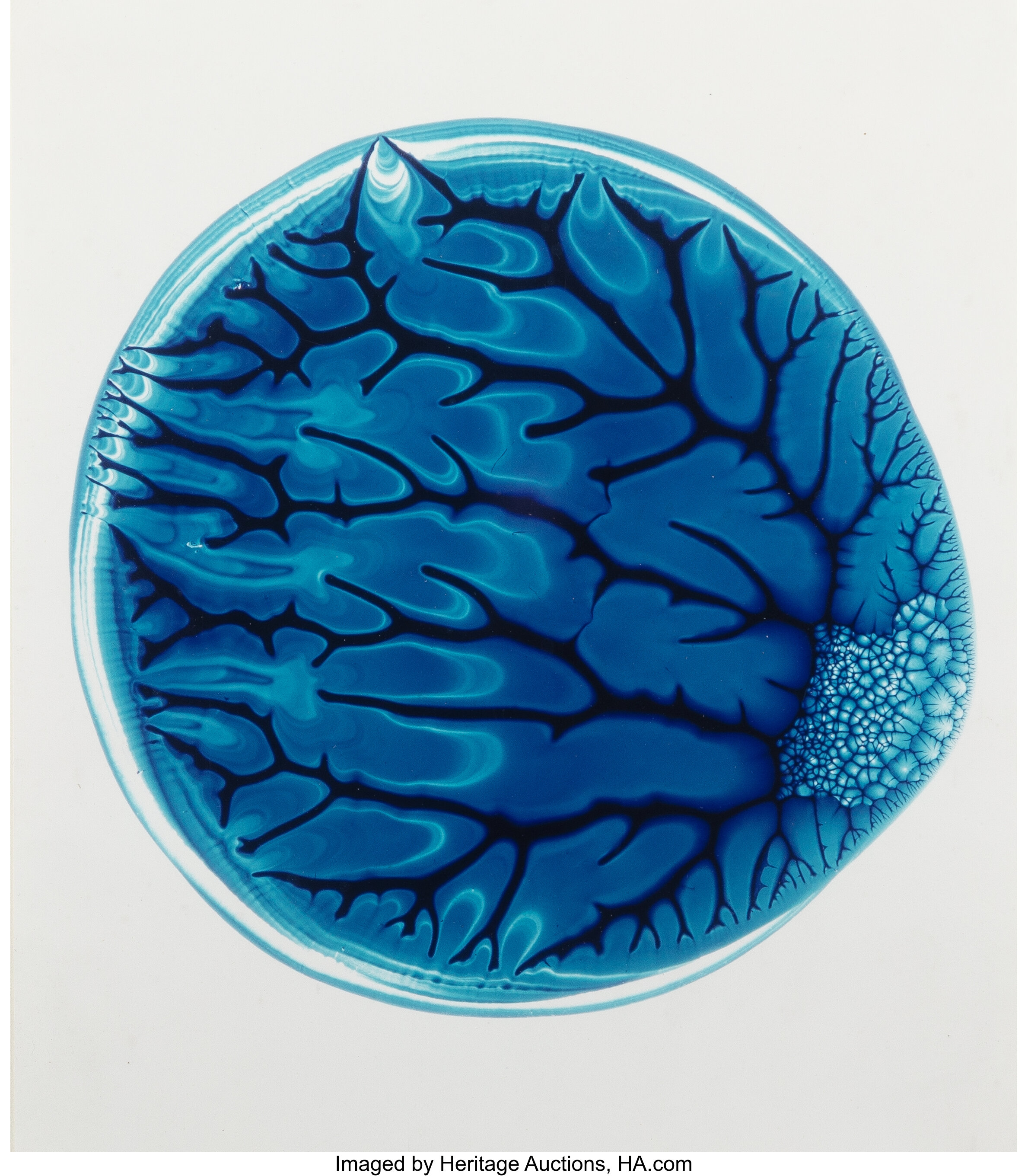 Adam Fuss (British, b. 1961). Untitled, 1987. Dye bleach print | Lot ...