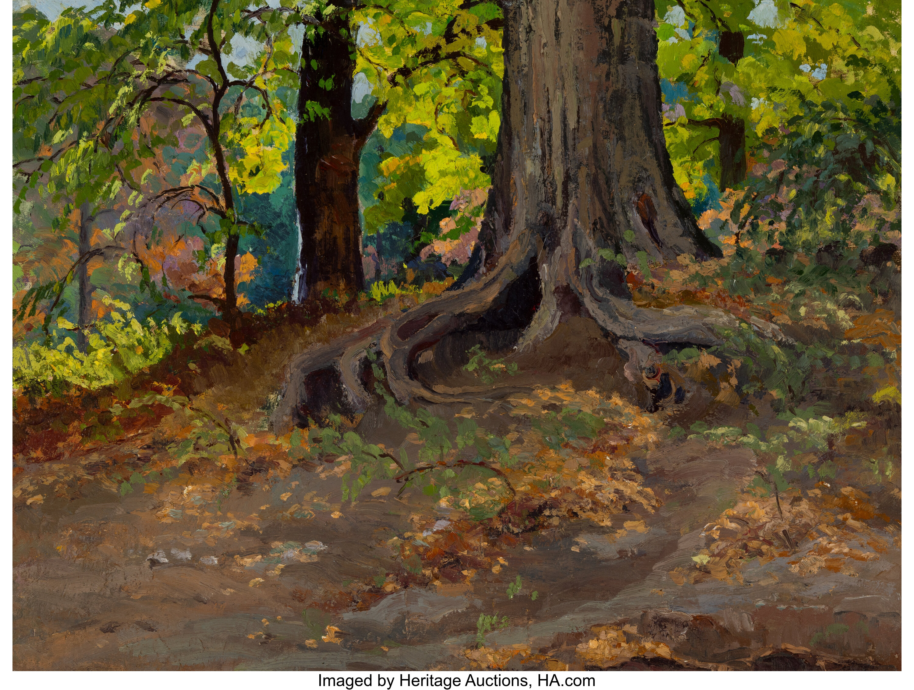 Olin Travis (American, 1888-1975). Forest Roots, 20th Century . | Lot ...