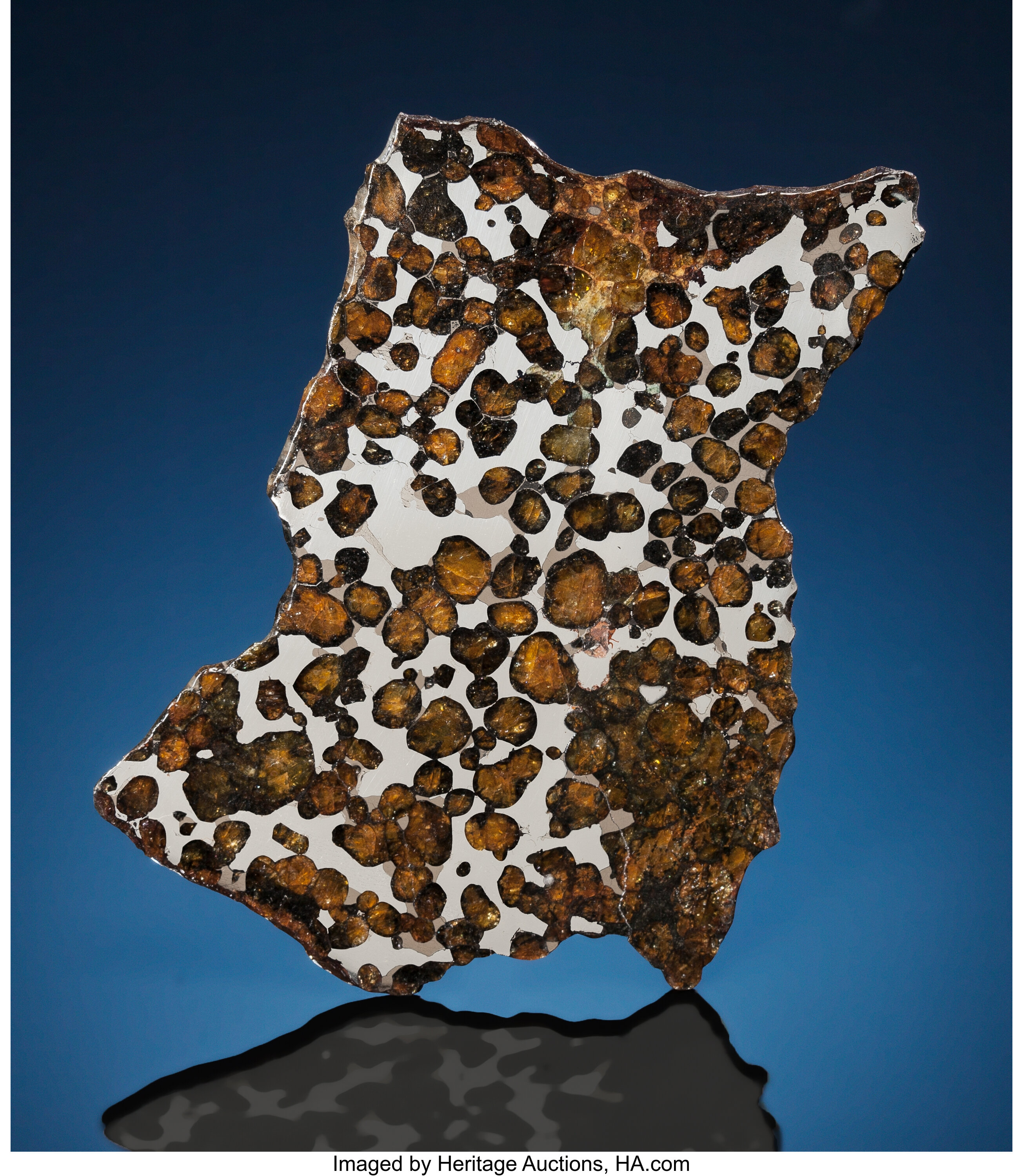 SLICE OF RECENTLY RECOVERED SPRINGWATER PALLASITE. Pallasite, | Lot ...