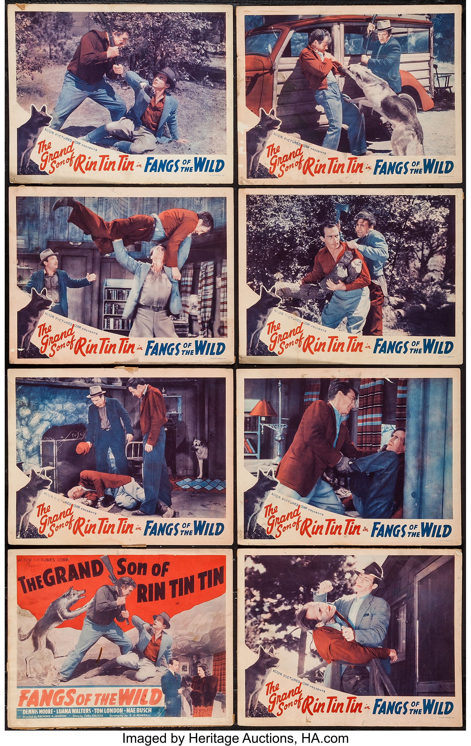 Fangs of the Wild (Astor, 1942). Lobby Card Set of 8 (11" X 14"). | Lot ...