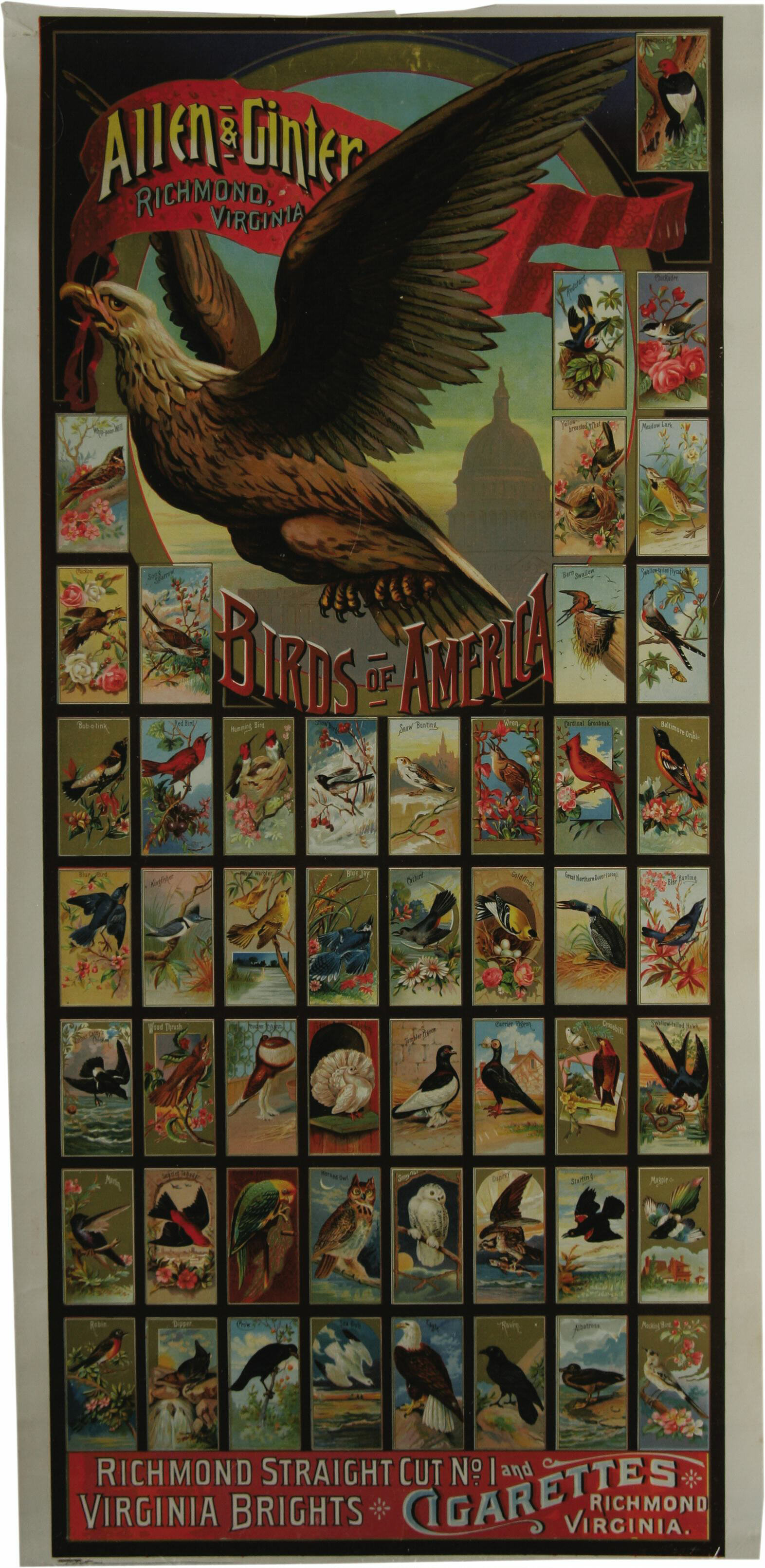 Circa 1888 Allen & Ginter N4 Birds of America Advertising Poster. | Lot ...