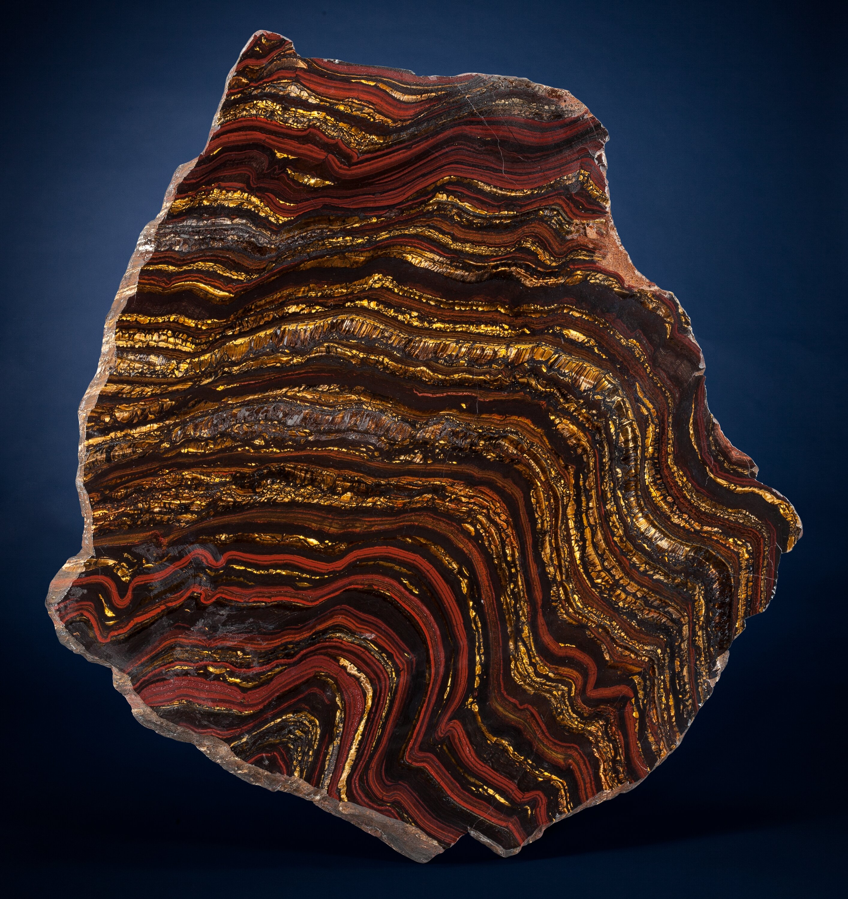 Tiger Iron Free-form Slab. Ord Ranges, Pilbara, Western Australia ...
