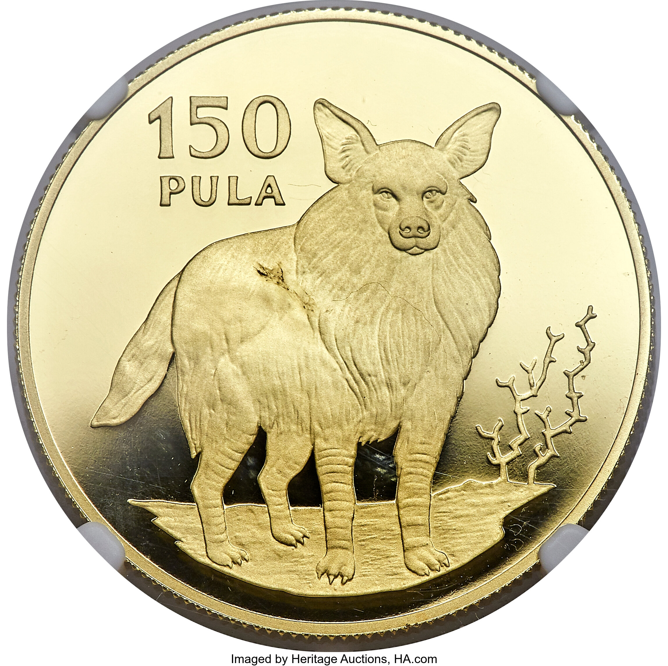 Rare Botswanan Coin Prices – Buy, Sell or Appraise Coins from Botswana ...