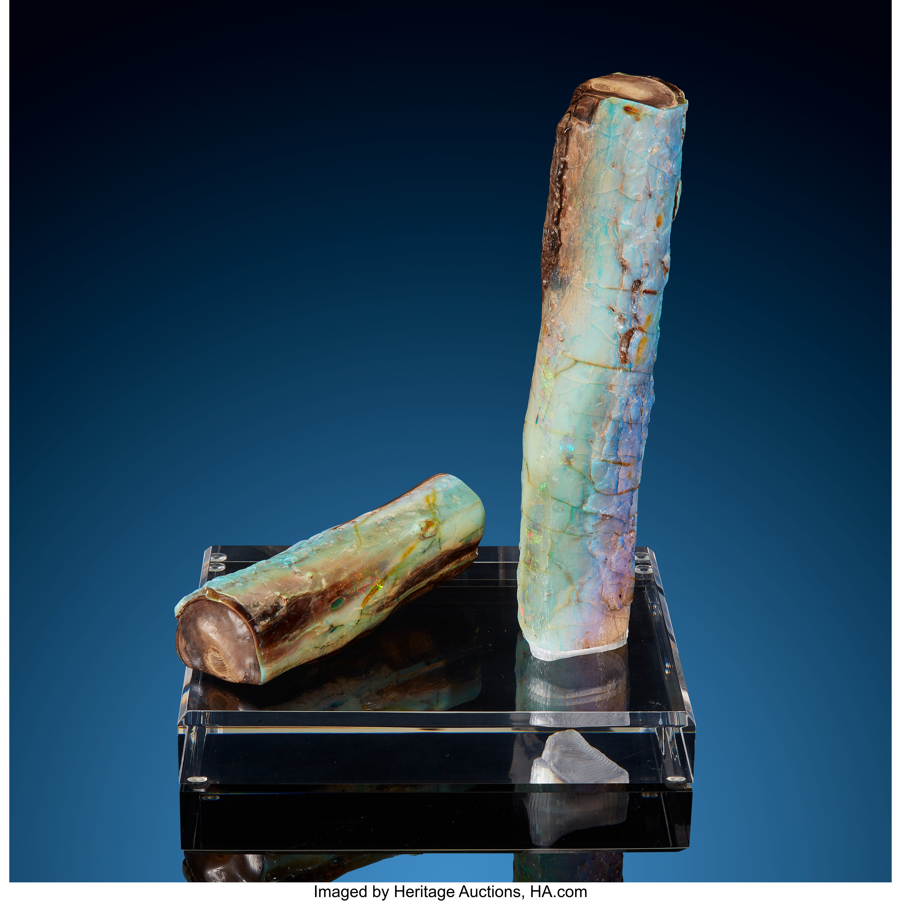 Opalized Fossil Wood Limb Set. Bonanza Opal Mine . Virgin Valley, | Lot ...