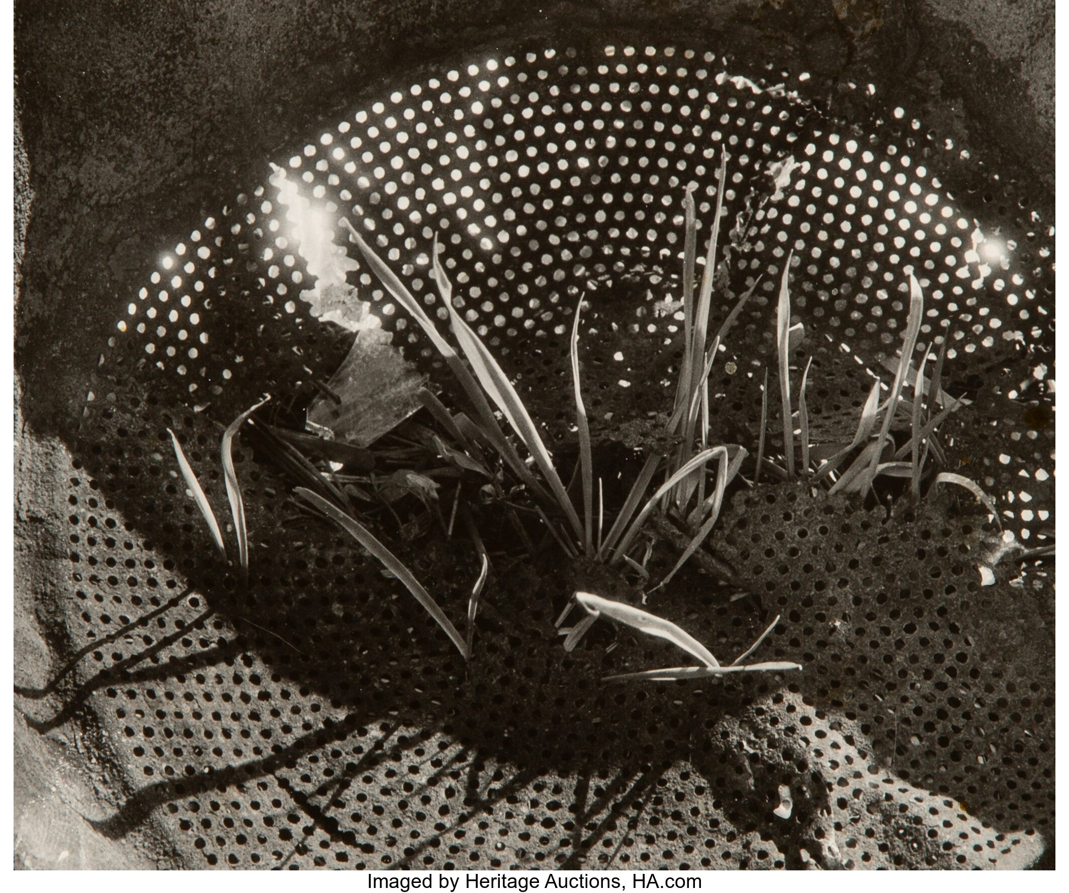 Edmund Teske (American, 1911-1996). Disintegrating Colander, | Lot ...