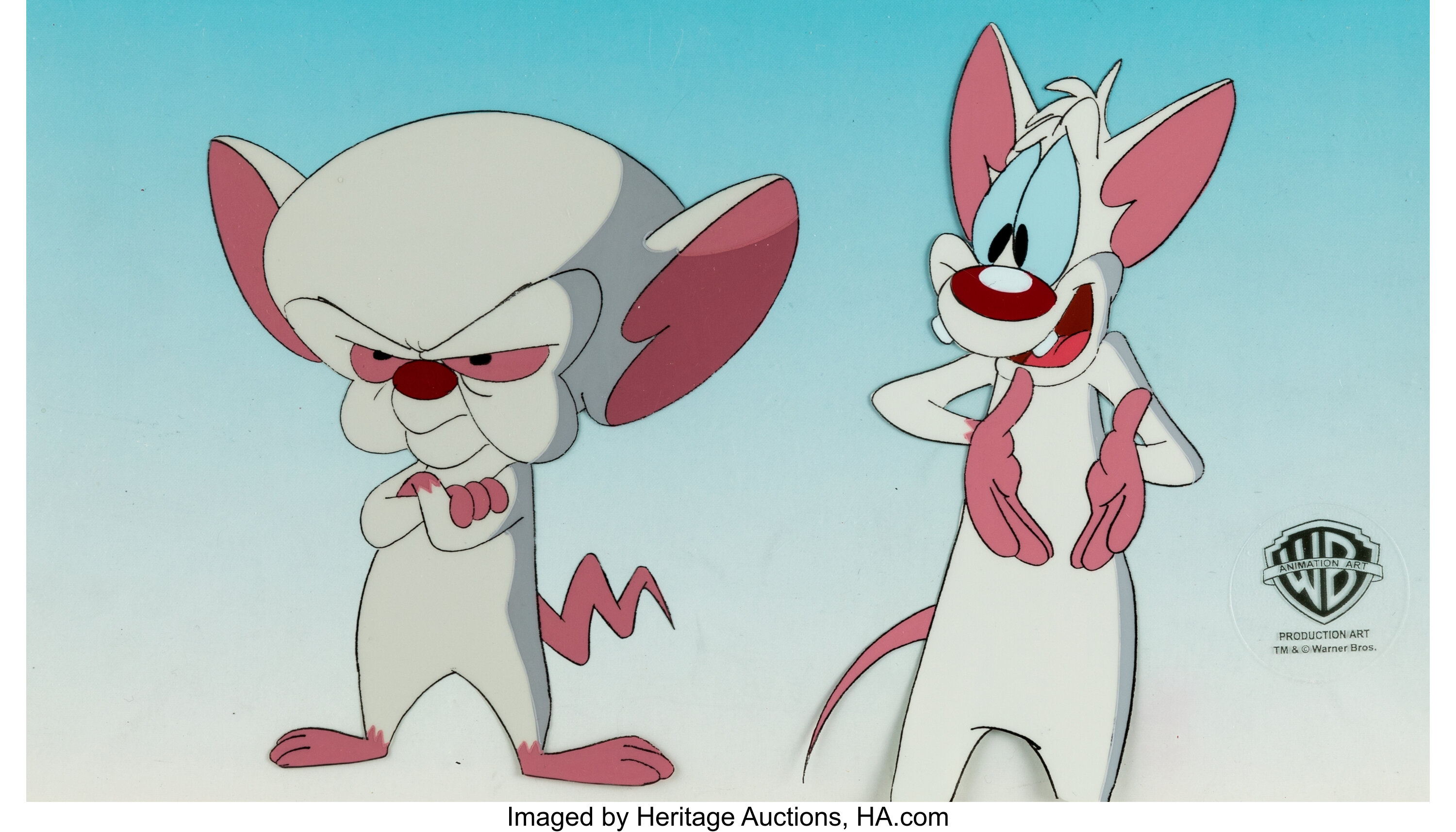Pinky and the Brain Production Cel Setup (Warner Brothers, c. | Lot ...