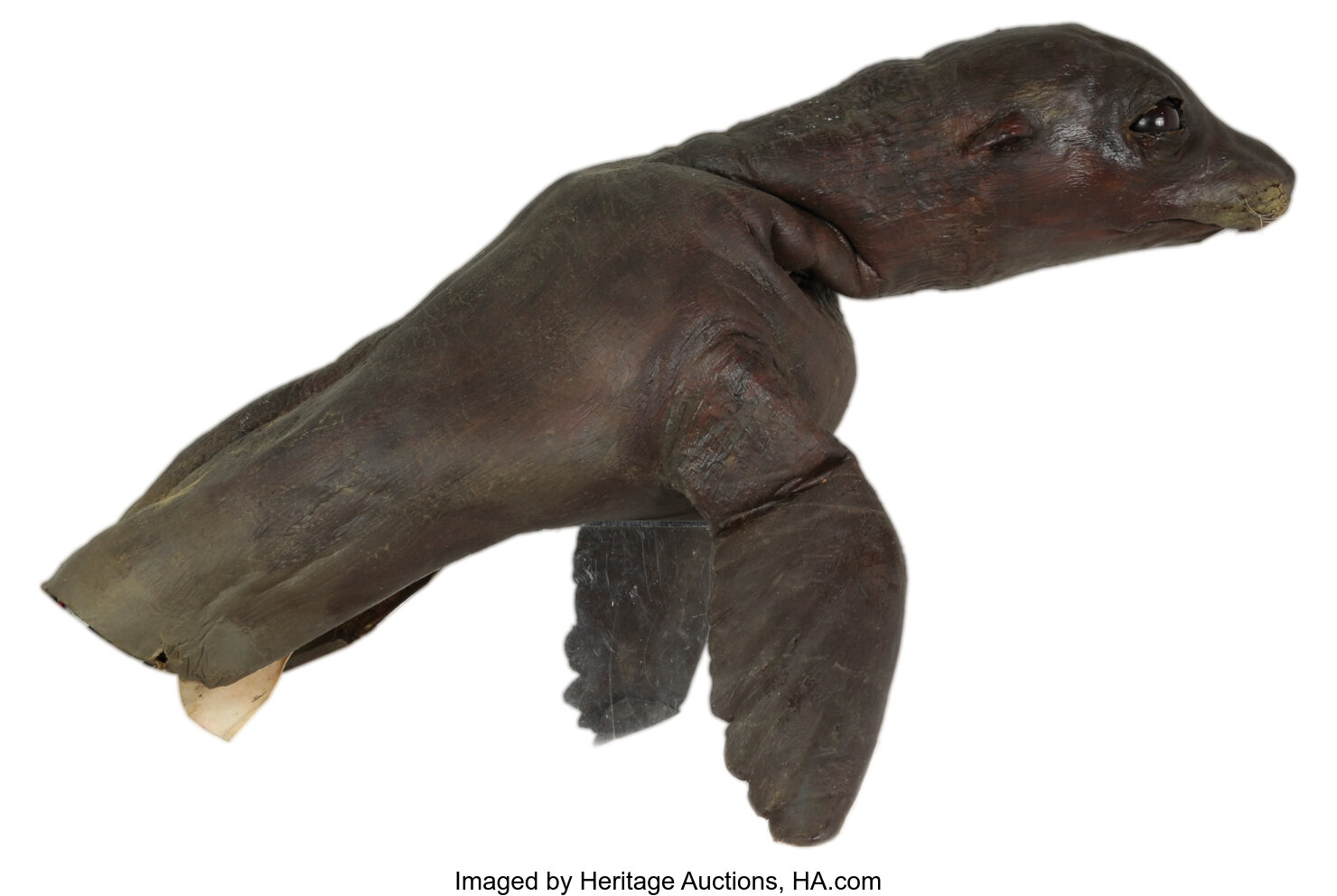 "Andre the Sea Lion" animatronic figure from Andre.... Movie/TV | Lot ...