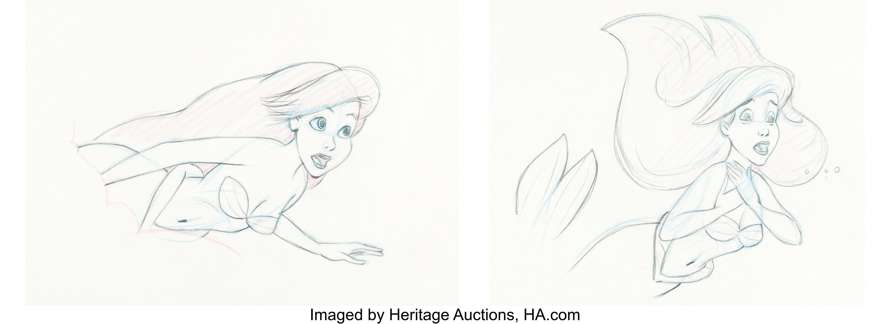 The Little Mermaid Ariel Animation Drawings Group of 2 (Walt | Lot ...