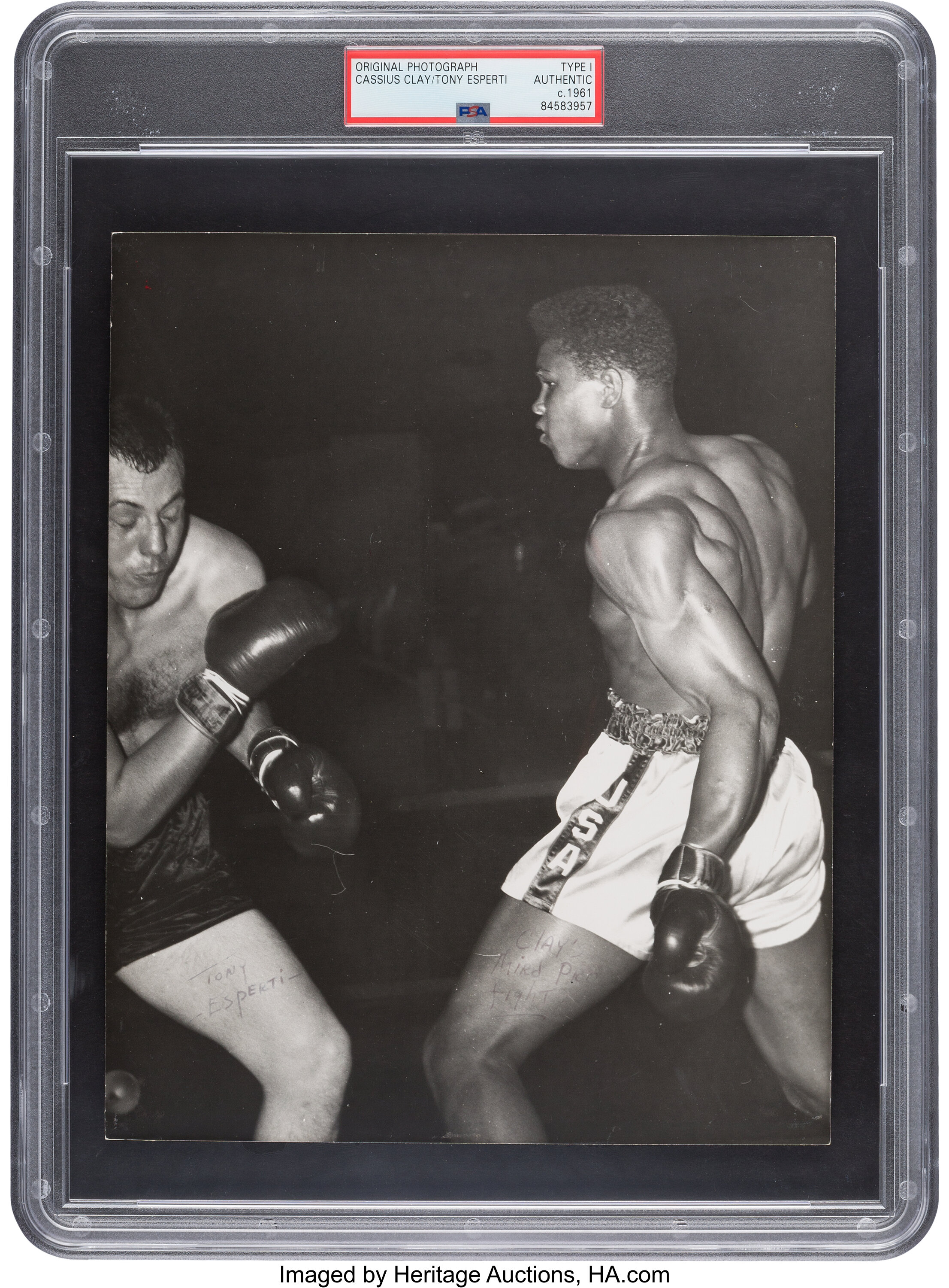 1961 Cassius Clay (Muhammad Ali) vs. Tony Esperti Original | Lot #53390 ...