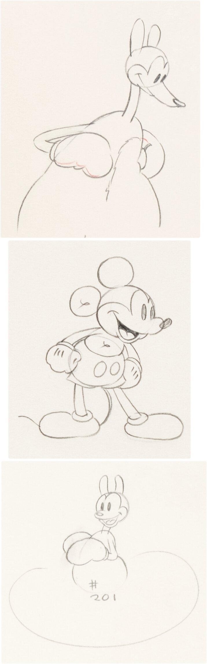 Mickey's Kangaroo Mickey Mouse and Kangaroos Animation Drawing | Lot ...
