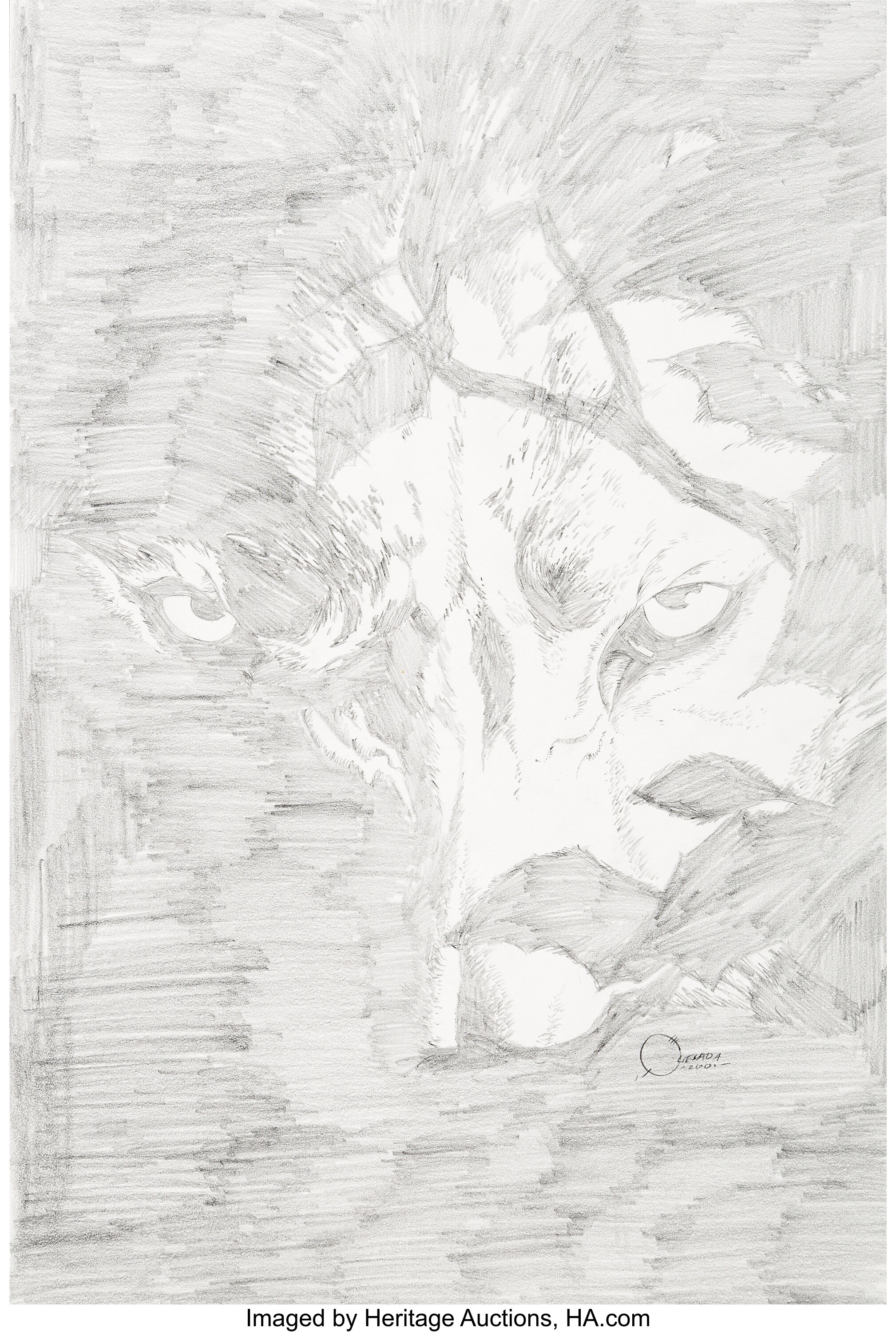 Joe Quesada Wolverine: The Origin #4 Cover Original Art (Marvel, | Lot ...