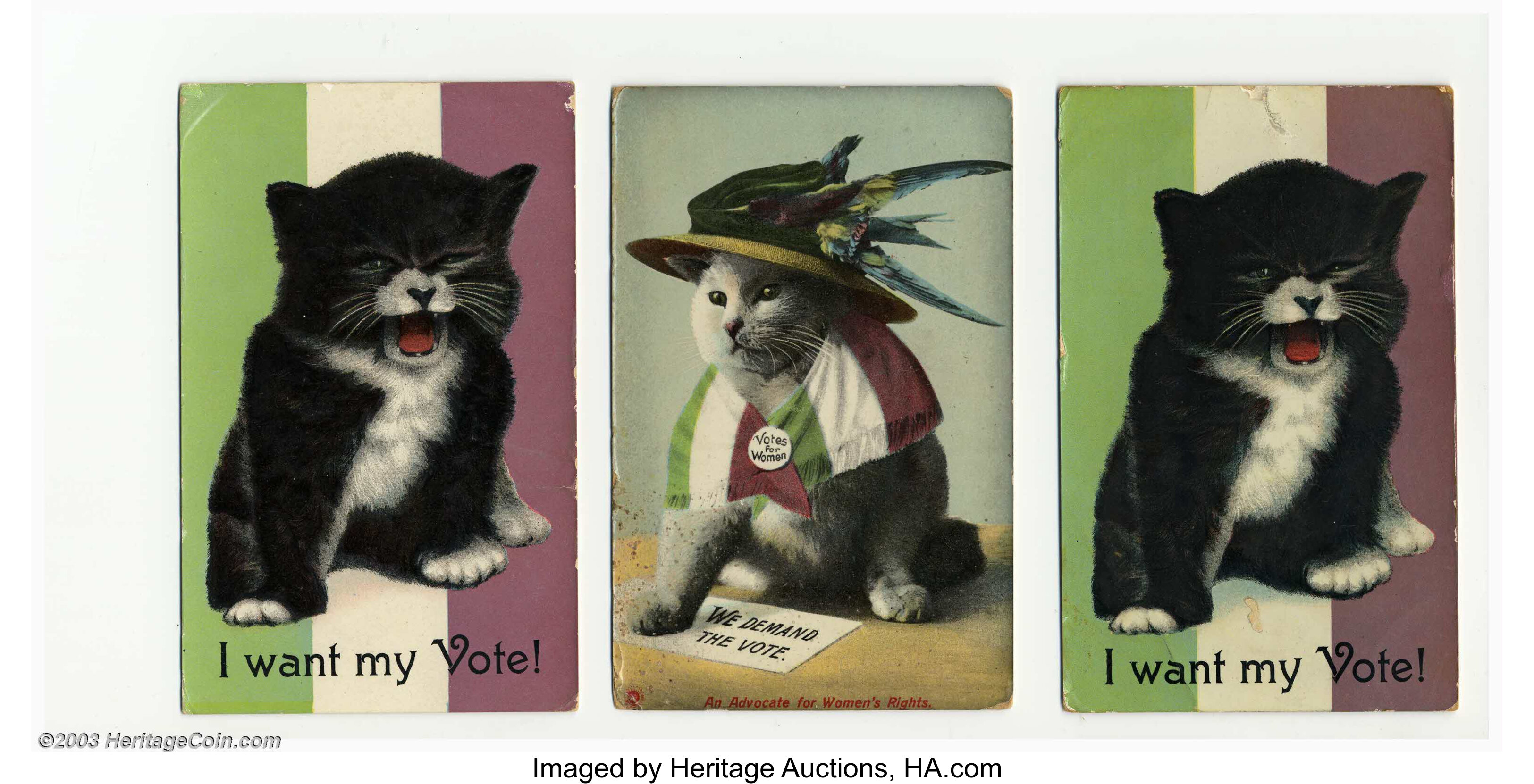 Three British Women's Suffrage postcards with a cat as the ... (3 | Lot ...