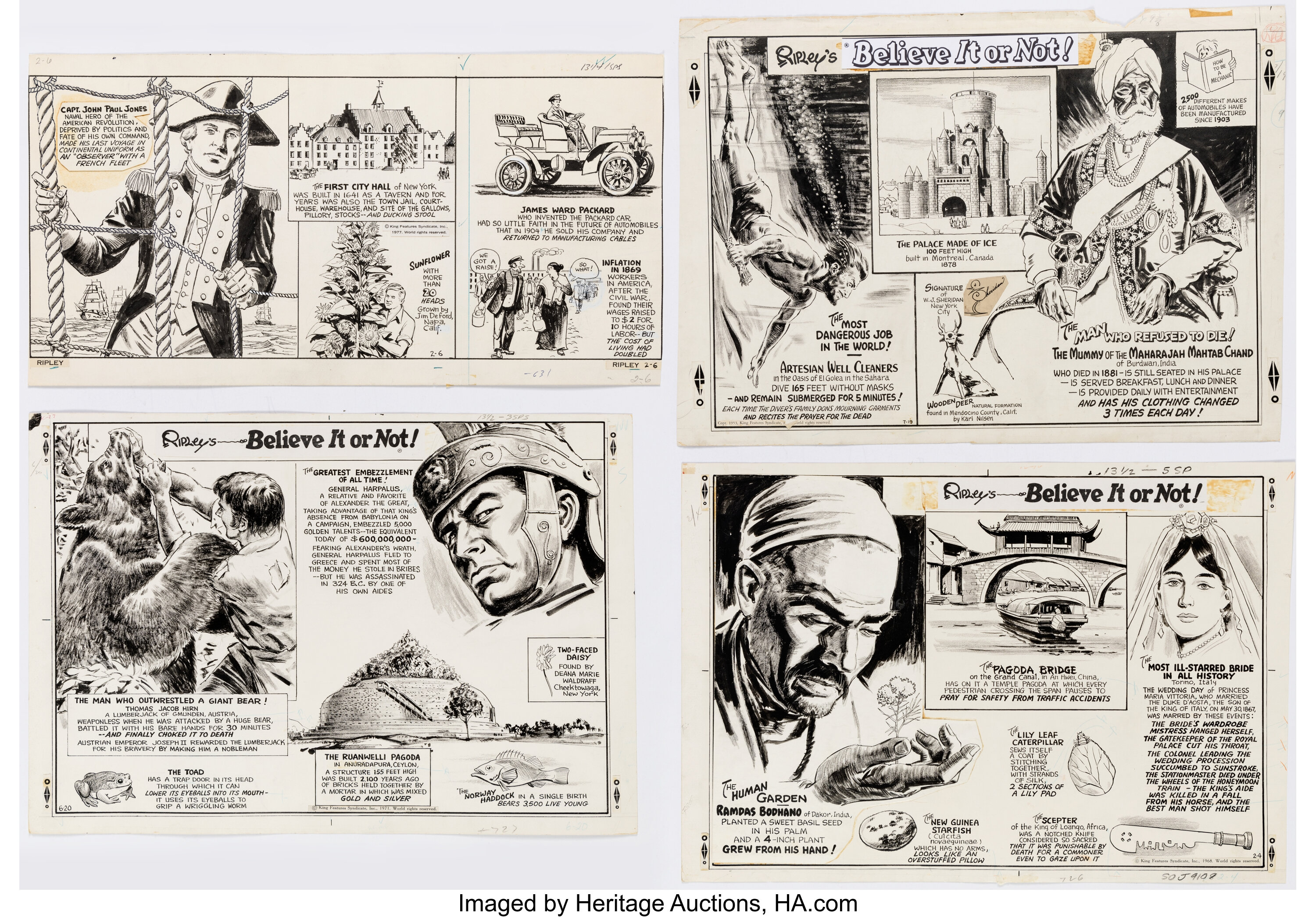 Paul Frehm Ripley's Believe it or Not Daily and Partial Sunday | Lot ...