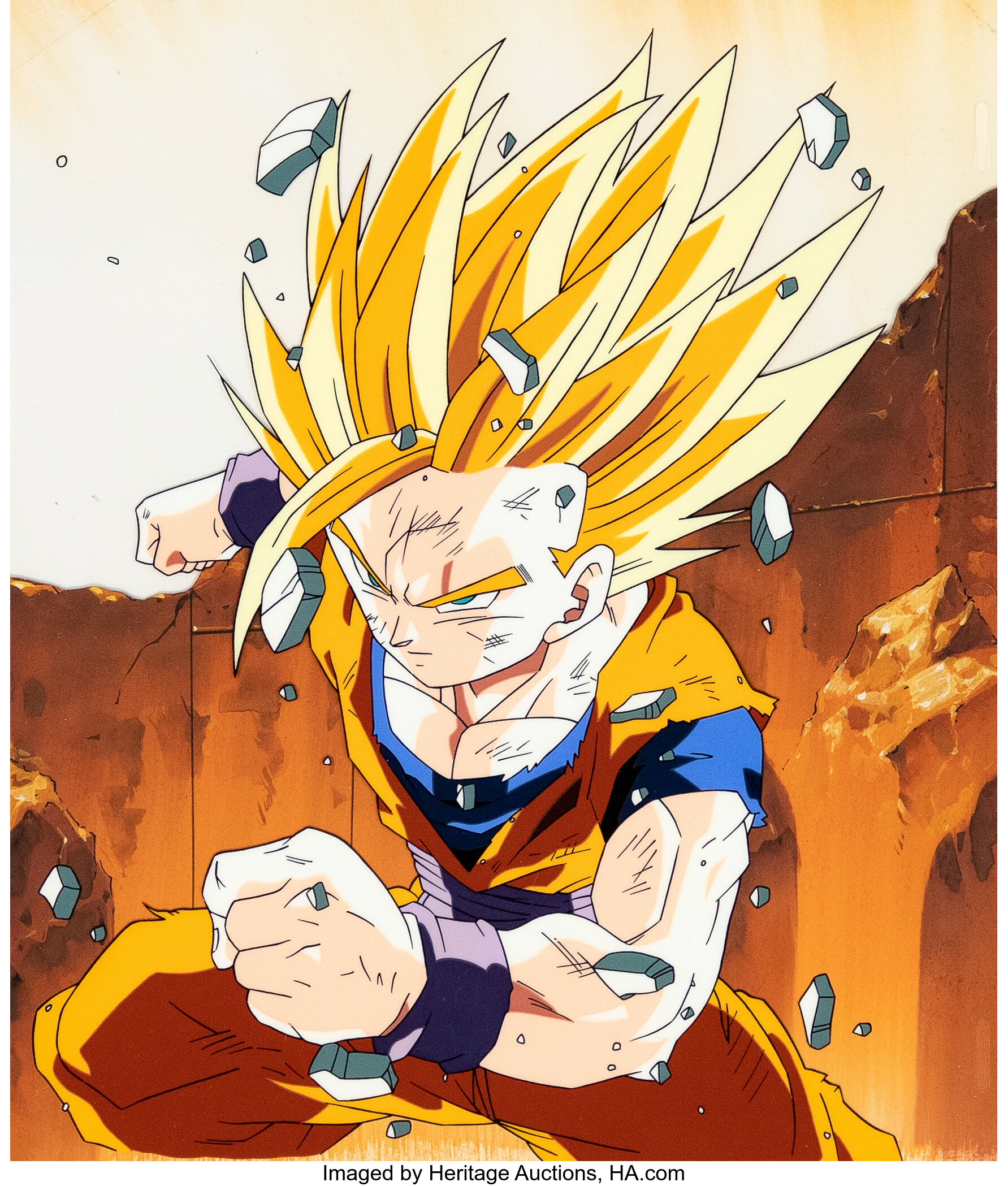 Dragon Ball Z Gohan Rilezu Cel with Painted Background (c. | Lot #52365 ...
