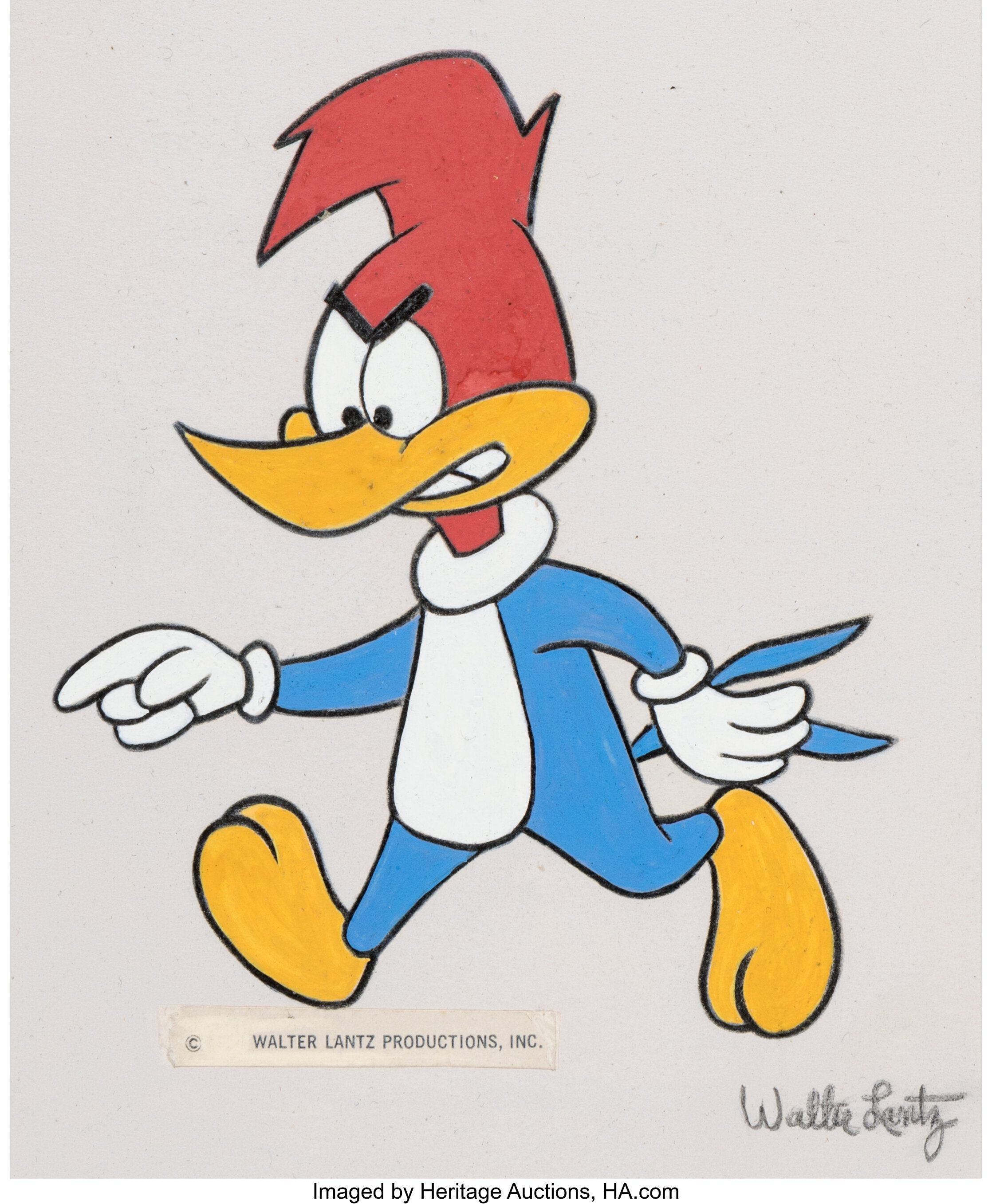 Woody Woodpecker Studio Model Drawing Original Art (Walter Lantz, | Lot ...