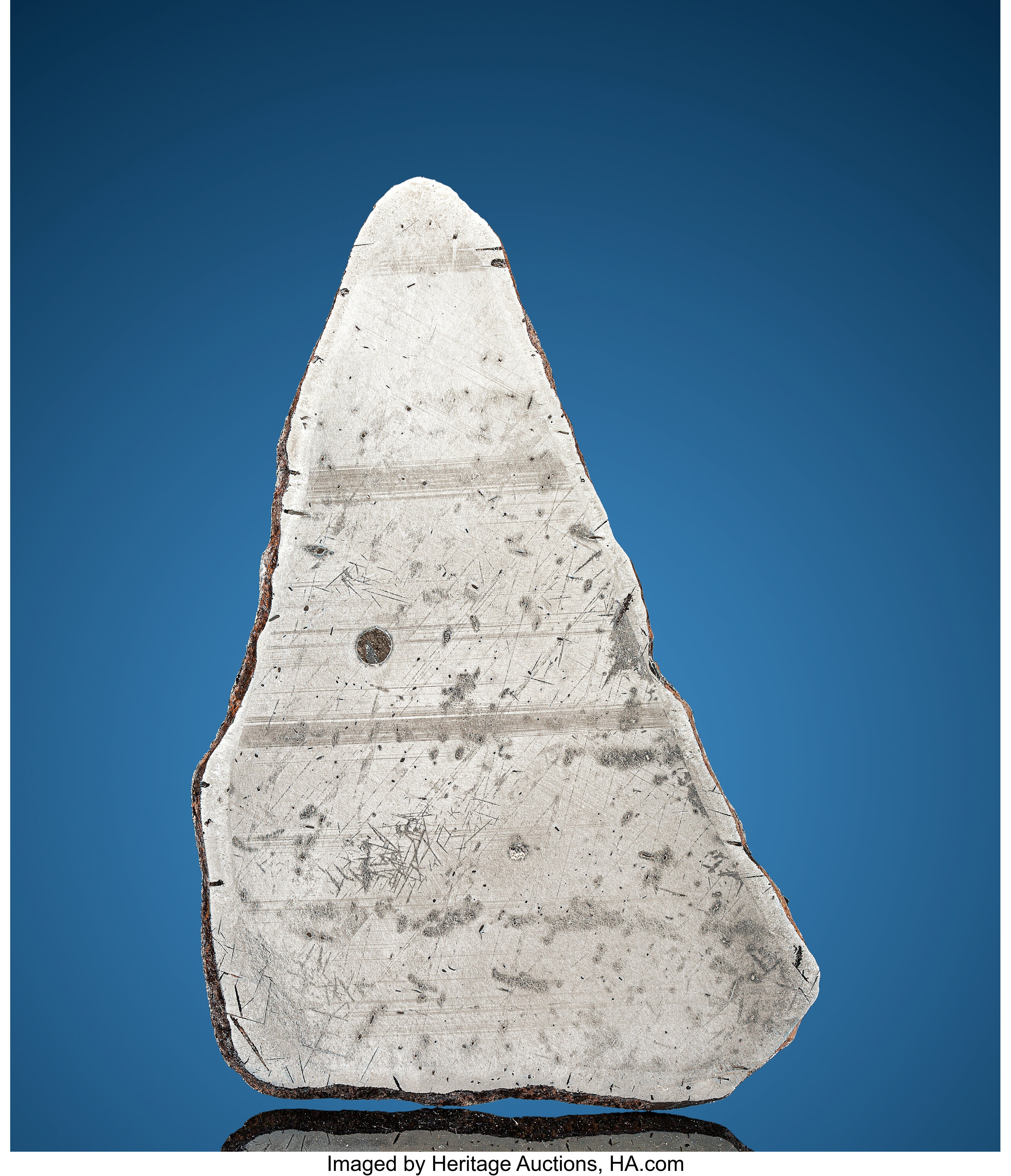 NWA 8302 Meteorite Slice. Iron, IIAB. Northwest Africa. Found: | Lot ...