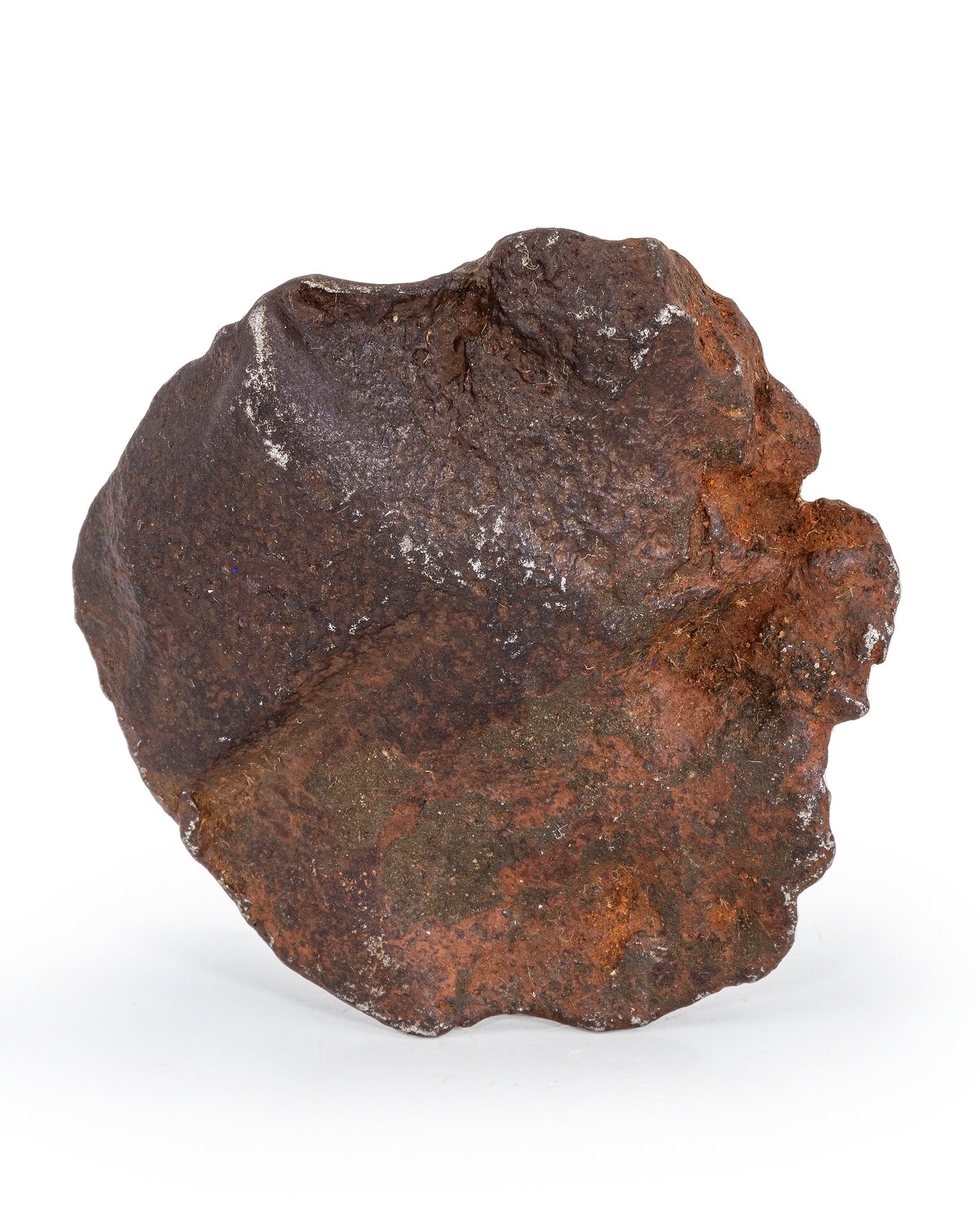 Sikhote-Alin Meteorite "Shrapnel". Iron, IIAB. Maritime Territory ...
