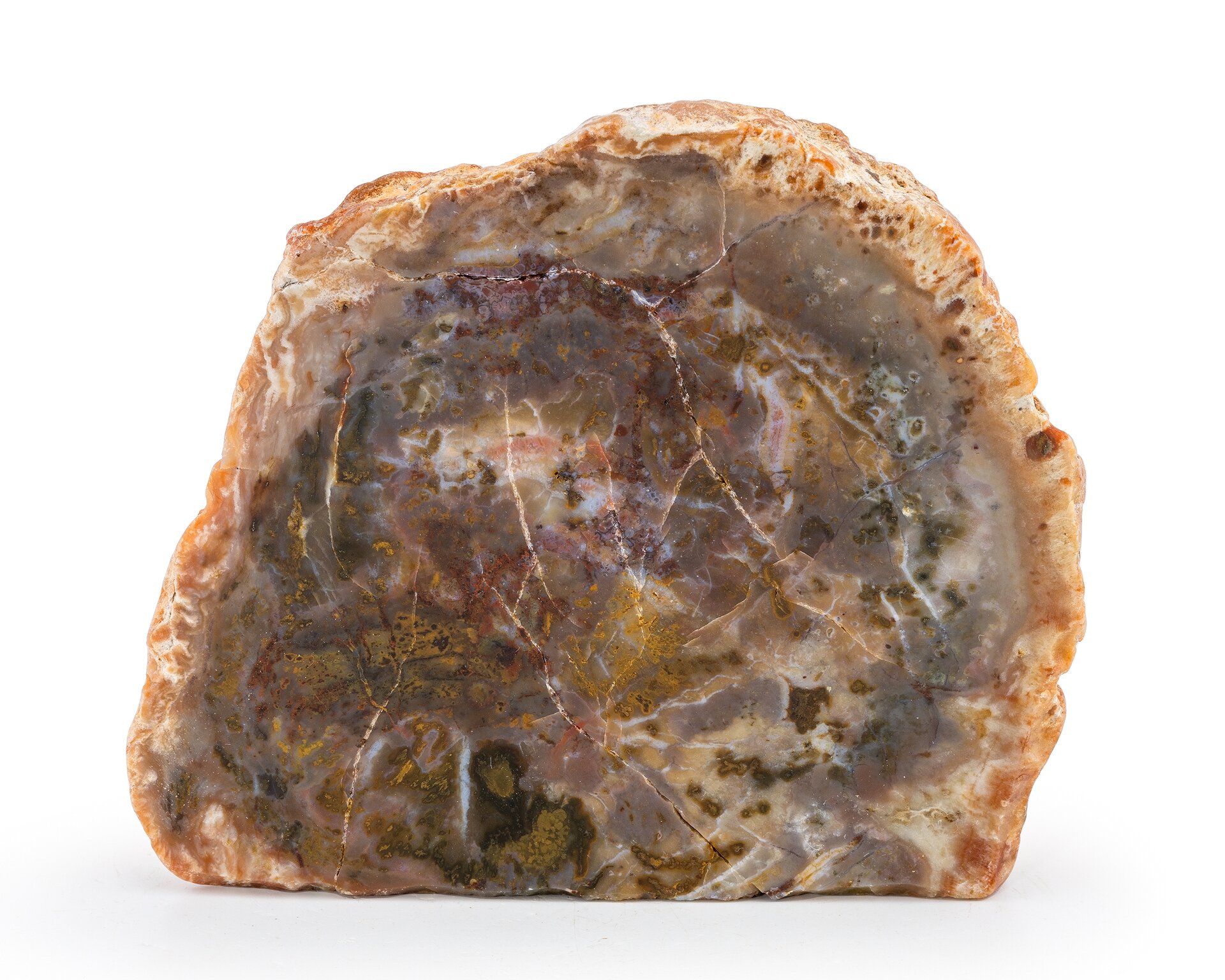 Dinosaur Coprolite End Cut. Jurassic. Morrison Formation. Utah, | Lot ...