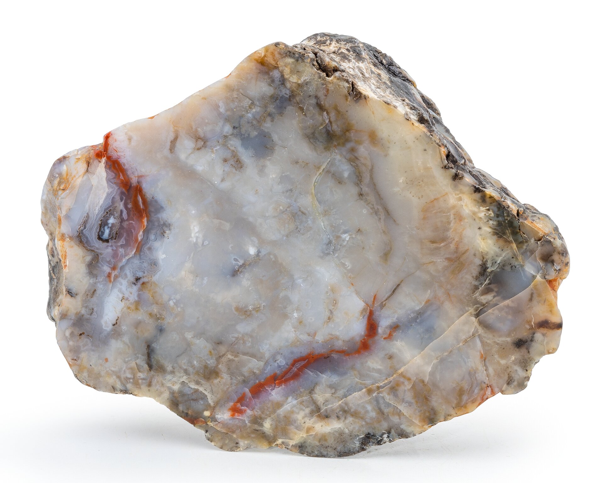 Dinosaur Coprolite End Cut. Jurassic. Morrison Formation. Utah, | Lot ...