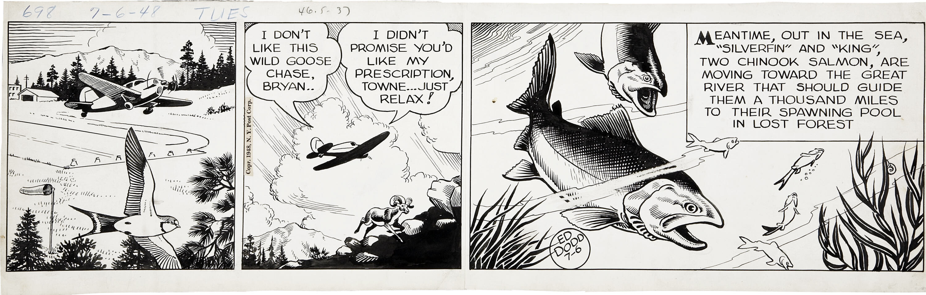 Ed Dodd Mark Trail Daily Comic Strip Original Art, dated 7-6-48 (N ...