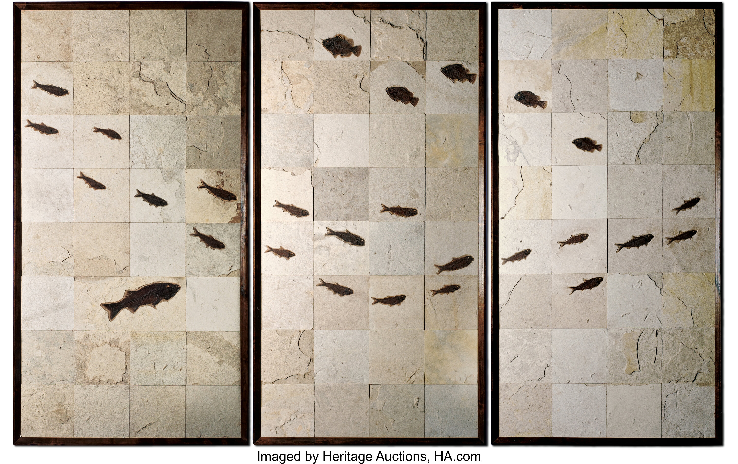 SUPERB TRIPARTITE FOSSIL FISH MURAL. ... Fossils Fish | Lot #41284 ...