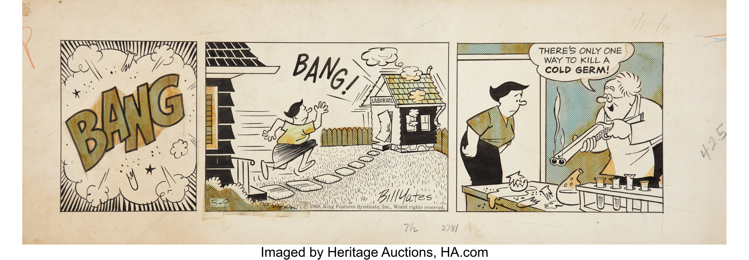 Bill Yates Professor Phumble Comic Strip Original Art Box Lot (King ...