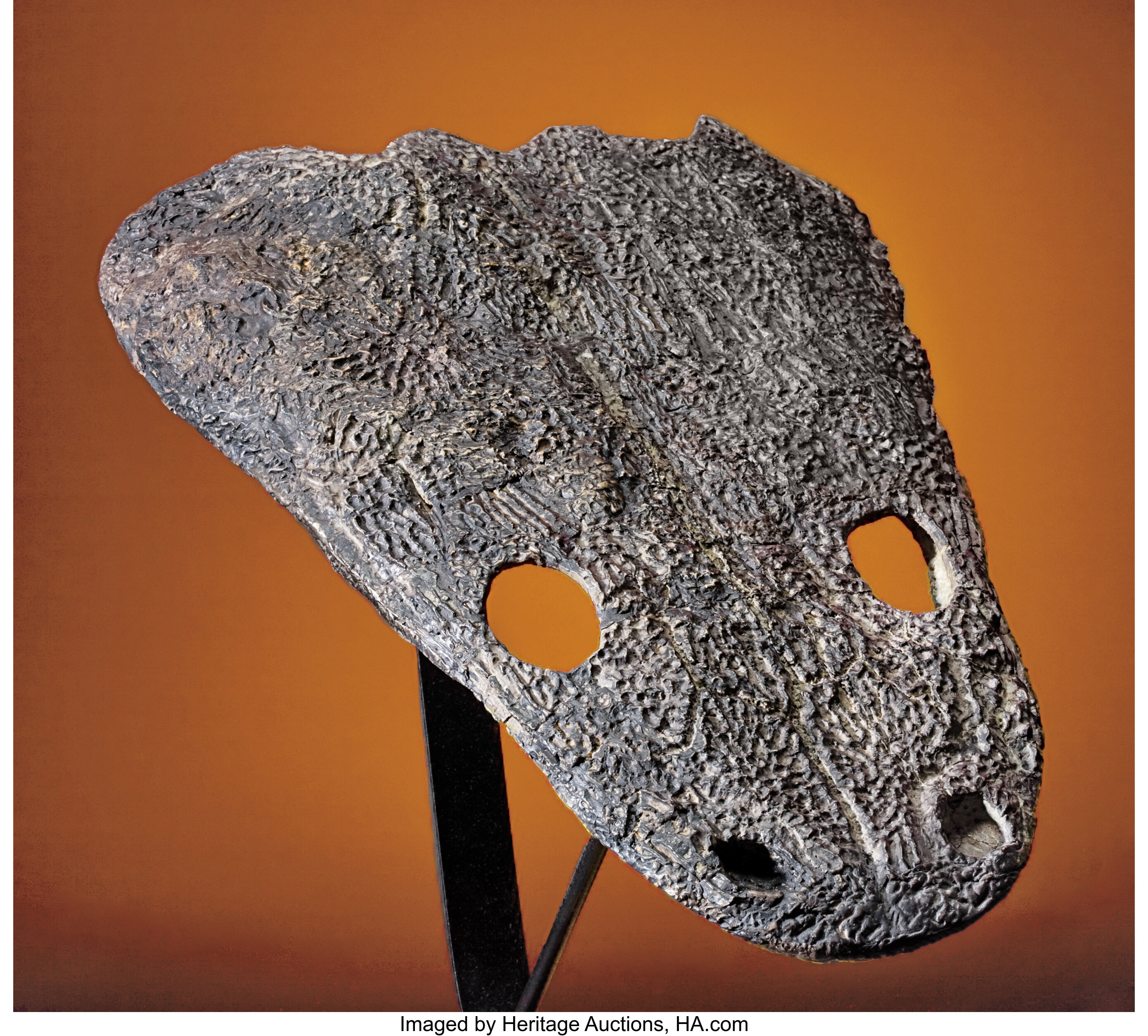GIANT TRIASSIC REPTILE SKULL SECTION. ... Fossils Amphibians & | Lot ...