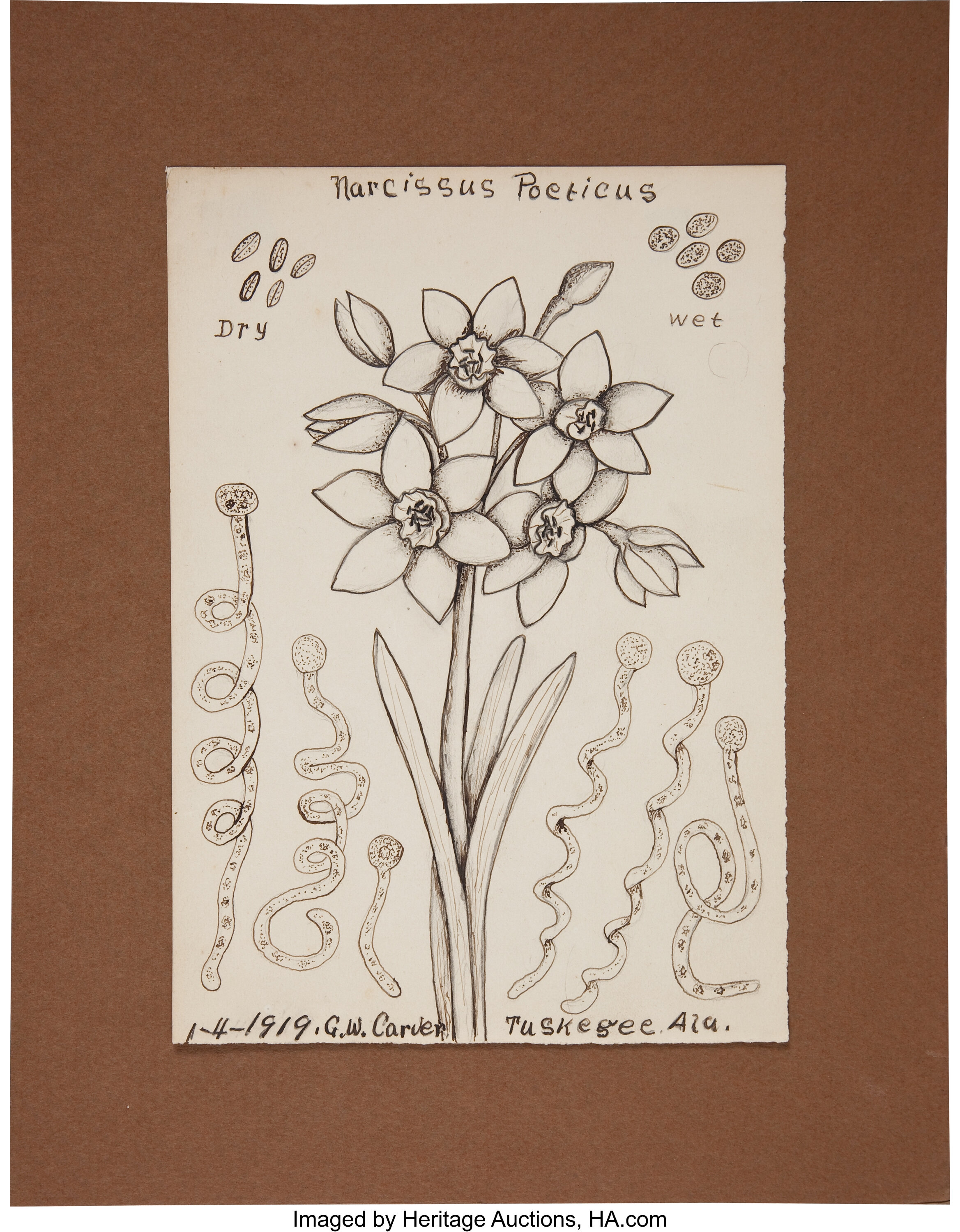 George Washington Carver Ink Drawing.... Autographs Inventors | Lot ...